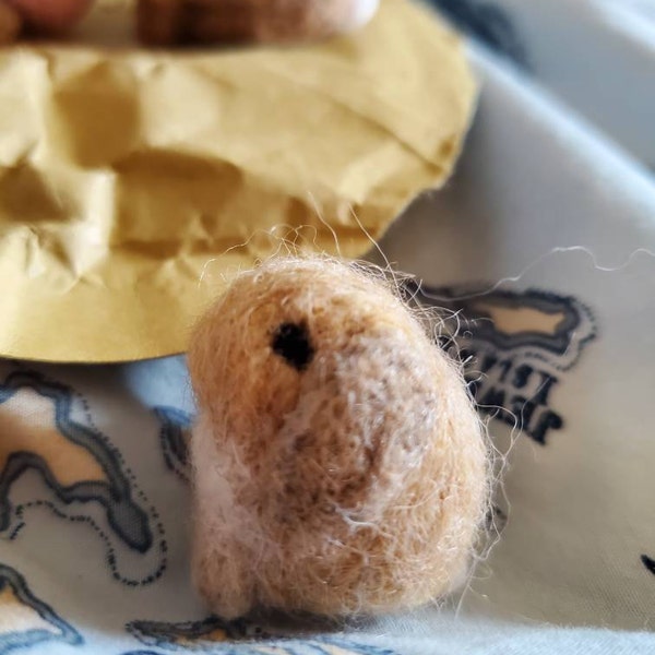 Custom Finch | Bird App Pet | Personalised Finch App - Etsy