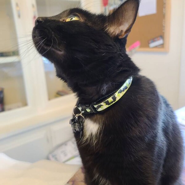 Halloween Cat Collar - Glitter Bats on Green Plaid - Kitten or Large ...
