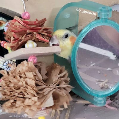 Crunchy Lasagna 20 Feet 3 Wide for Bird Toys, Chinchillas, Rabbits, Etc ...