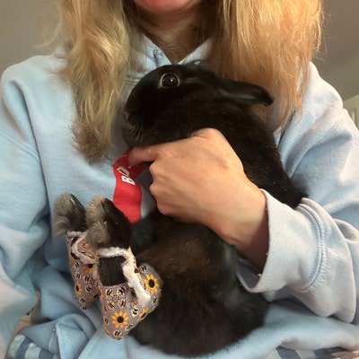 Size: Jumbo Rabbit Hock Socks 2-way Straps - Etsy