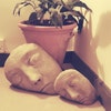 Stone Garden Beautiful Pair of Half Face Modern Art Statue Concrete ...