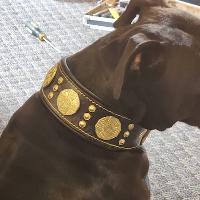 Bestia Aztec BLACK SET Collar & Lead. Big Dogs Mastiffs - Etsy