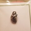 Human Heart Lapel Pin - CC389- Medical and Anatomy Pins for Doctors and ...