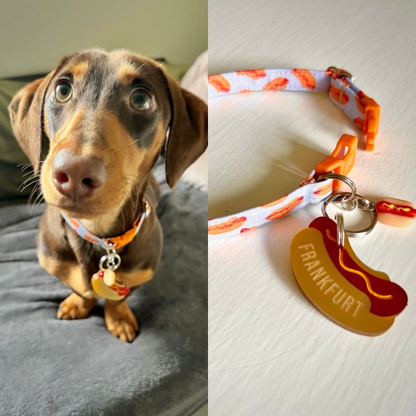 Custom Pet Tag for Dogs and Cats | Personalized Weiner Hot Dog Tag ...