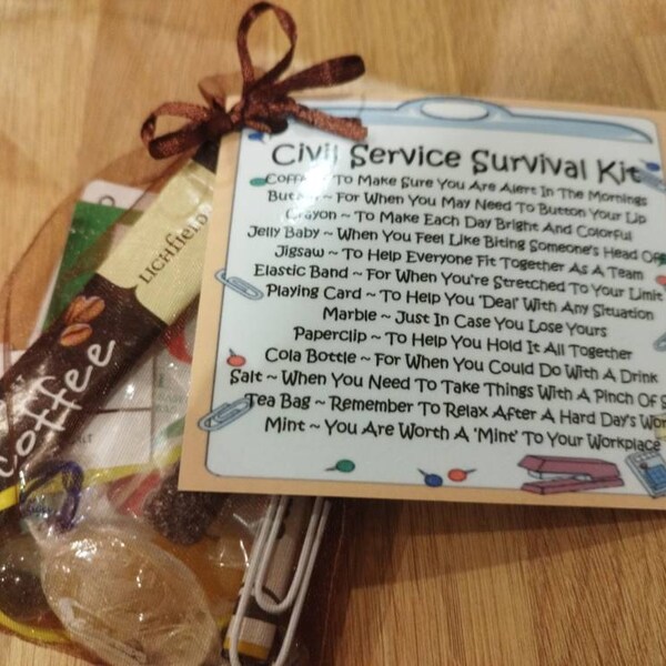 Everyday Life Survival Kit ~ Fun Thoughtful Caring Sentimental Gift ...