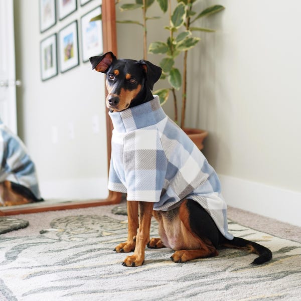 Blue Fleece Vest, Dog Clothing, Dog Fashion, Dog Apparel, Winter ...