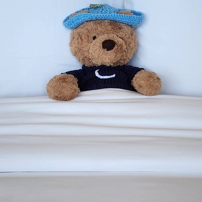 Mini Plush Version of Quackity: Las Nevadas Feral Boys,crew Boys,mcyt ...