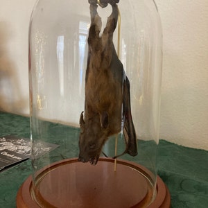 Small Hanging Bat on Gold Wire Stand | Etsy