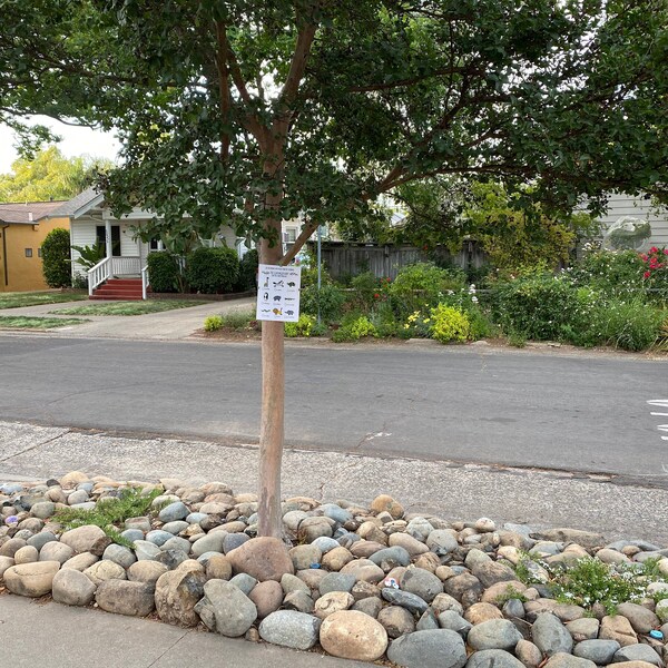 Diwali Scavenger Hunt for Kids, Deepavali Treasure Hunt, Party Activity ...