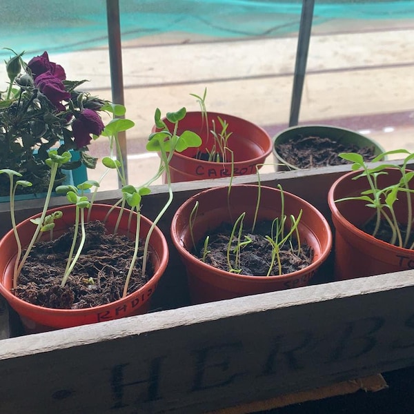 Thesis Defense Presentation Template Phd Masters MA Academic Viva ...