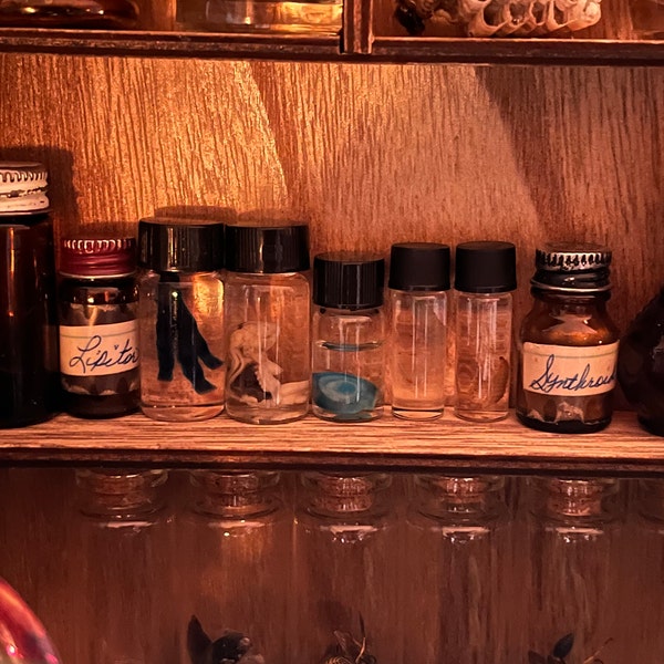 Mystery Oddity WET SPECIMEN Surprise Box - Animal Kingdom - Etsy