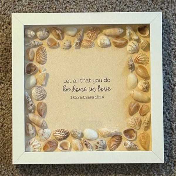 Shell Statement Shadow Box / SWFL - Etsy