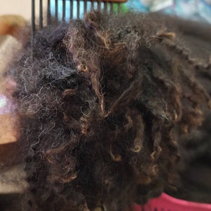 Adjustable Box Wool Picker bam Fiber Works Original - Etsy