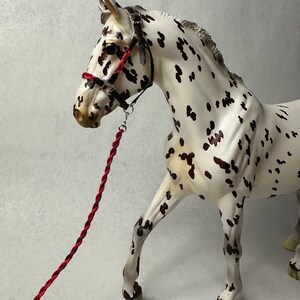 Traditional Draft Sized Leather Show Halter and Nylon Lead - Etsy