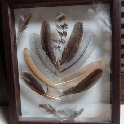 Coloured 7x5 Wooden Picture Frame, Photo Frames, With Clear Acrylic and ...