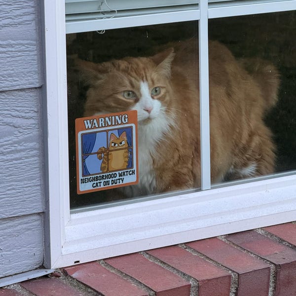 No Soliciting Sign Window Cling Goth violators Will Be Sacrificed ...