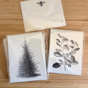 Tree Greeting Card Set of 10 in White or Light Ivory With Matching ...