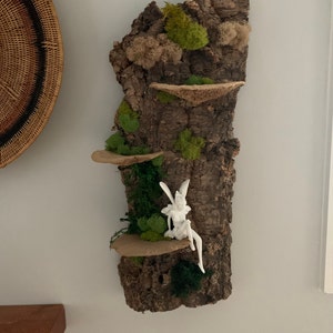 Floating Forest Trio Moss Wall Art, Wall Decor, 3 Cork Bark W ...
