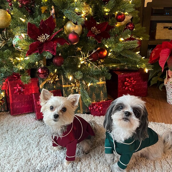 Light Blue Matching Pet and Owner Satin Pajama Set (dogs, Cats & People ...