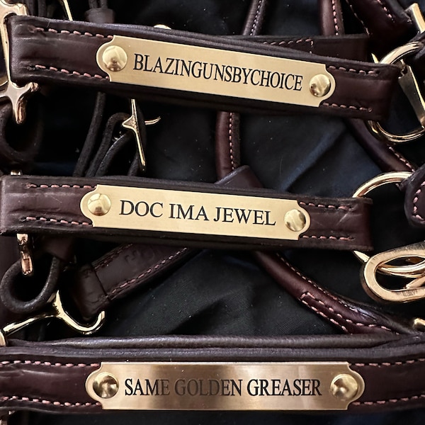 Super Soft Comfy Padded Adjustable Leather Halter With Solid Brass ...
