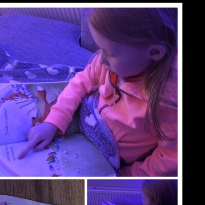 How to Make a Wish Childrens Picture Book Fox Story Foxes Cute Foxes ...