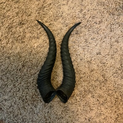 Real Springbok Horns Large Horns From Springbok Skull - Etsy