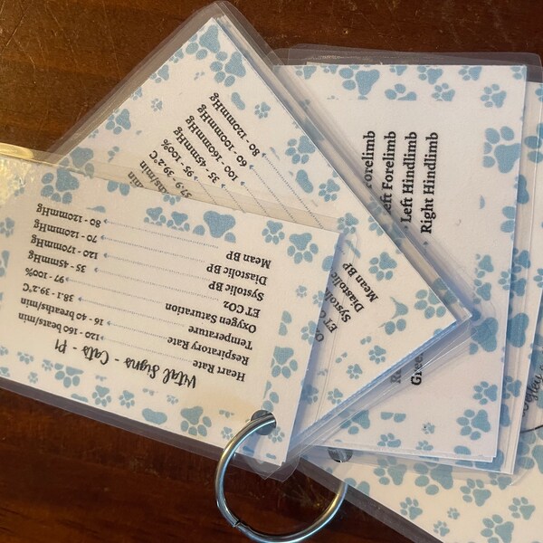 Plain Background Veterinary Cage Cards, DIGITAL DOWNLOAD, Printable ...