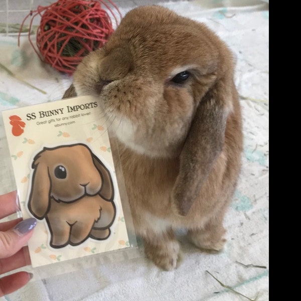 Orange Lop Bunny Sticker; Printed Chibi Rabbit Vinyl Tablet Sticker, Waterproof, Weatherproof - Etsy