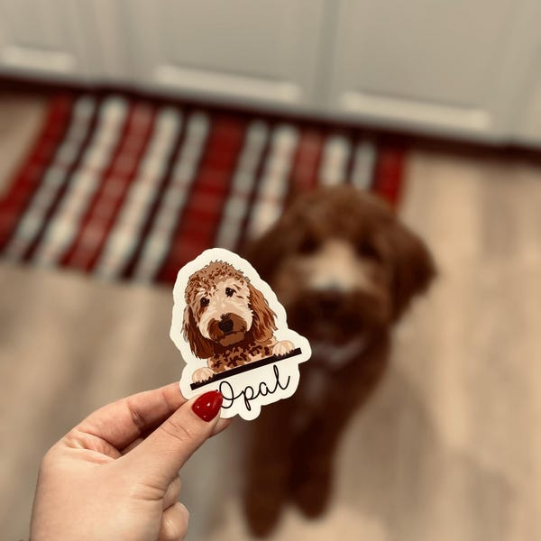 Personalized Cheer Sticker Cheerleader Name Sticker Cheer Name Sticker ...