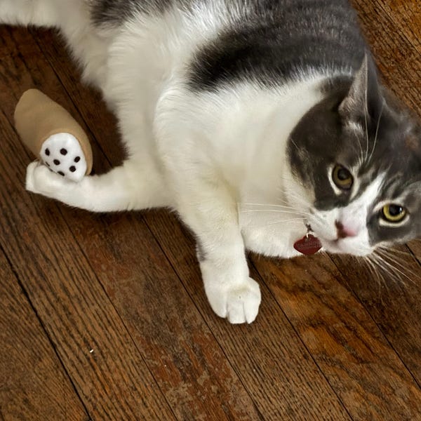 Catnip Cannoli Cat Toy - Etsy