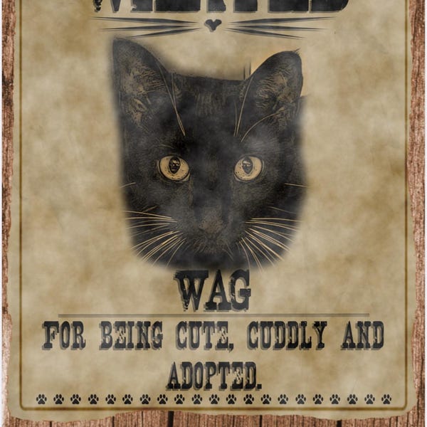 Custom Wanted Poster for 2 Cats PDF | Not an Instant Download | Not an ...