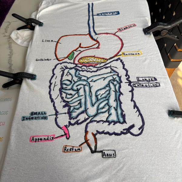 The Digestive System - Etsy