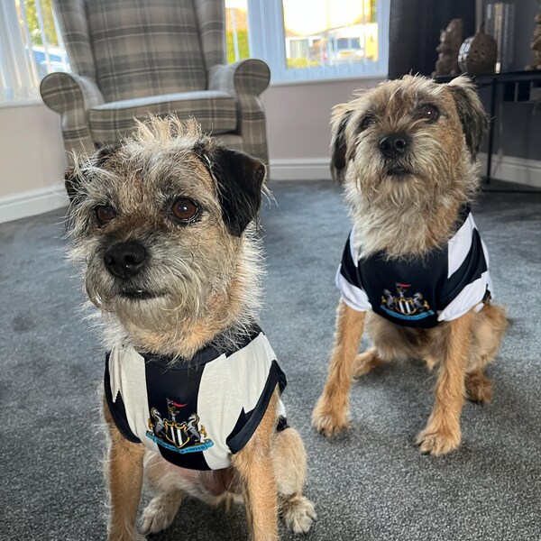 Liverpool FC inspired Personalised Pet Tank Top With Original FC Logo ...