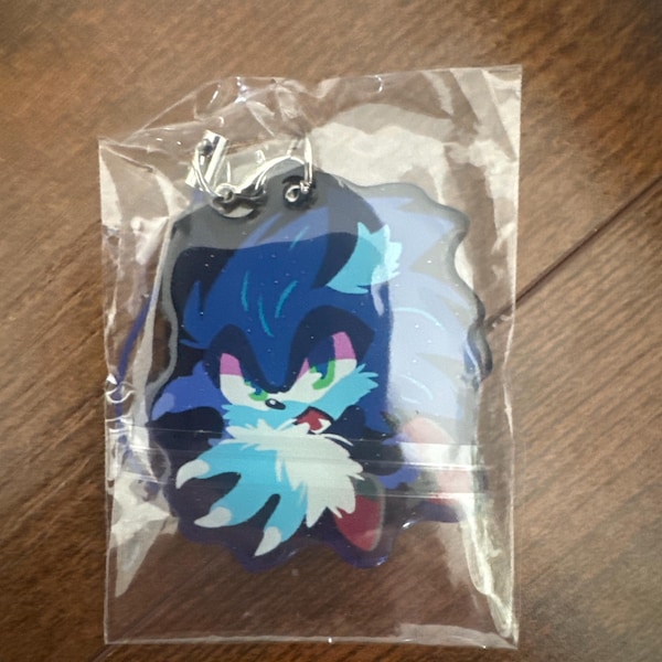 Sonic & Shadow SHAKER CHARM [PREORDERS] - Etsy