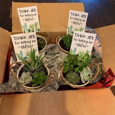 Teacher Appreciation Thank You for Helping Me Grow Sign Succulent Thank ...