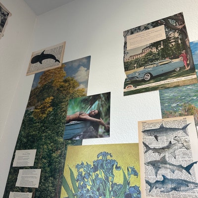 Set of 6 Frog Themed Dictionary Prints - Etsy