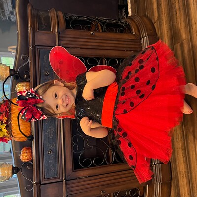 Amy Rose Mask/hedgehog Face/girl Hedgehog Costume/pink - Etsy