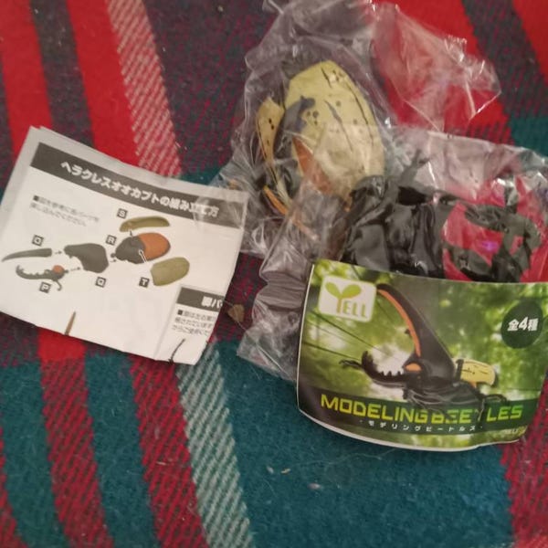 Modeling Beetles All 4 Types Capsule Toy Gacha Gashapon Japan Gachareward - Etsy