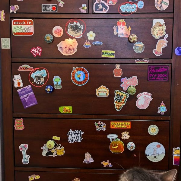 Merv the Cat Vinyl Sticker 2-pack / Mervthecat / Cat Sticker / Funny ...