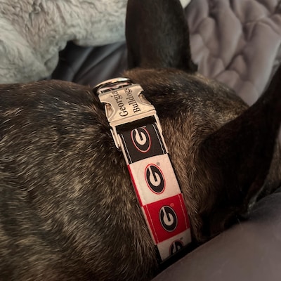 Midnight Navy Blue NY Yankees Dog Collar Bronx Bombers Personalized ...
