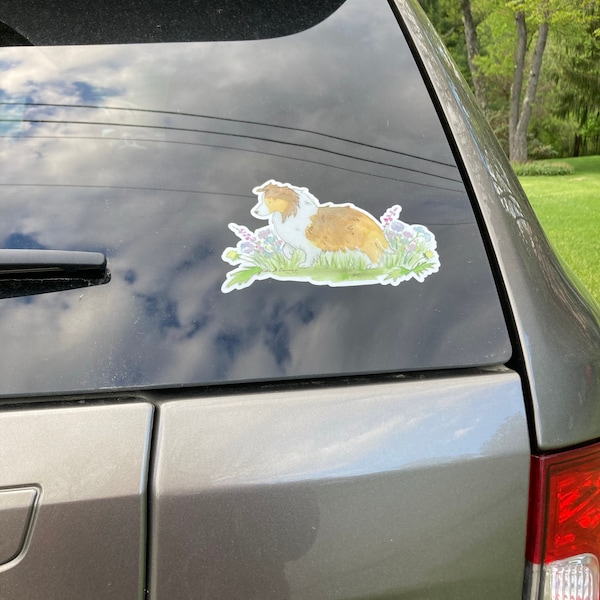 Shetland Sheepdog Sticker, Sable Sheltie Sticker, Die-cut Decal, Vinyl ...