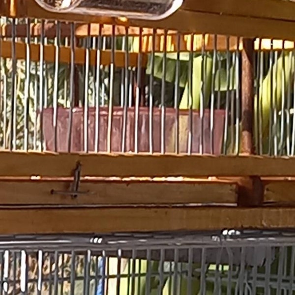 Large Rectangular Bird Cage Full Handmade / Wood Bird Cage / Decorative ...