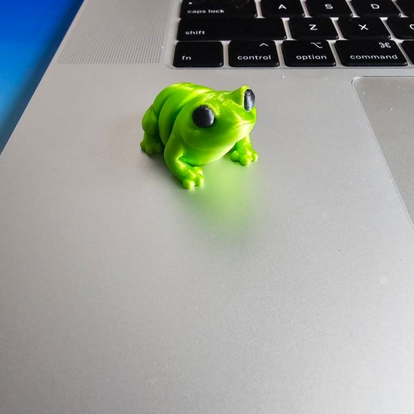 Fidget Frog Fidget Toy, Articulated Sensory Toy, Tiny Frogs, Flexible ...