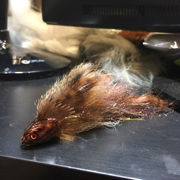 BLUEWATER FLY HEAD -- Fish Head for Fly or Spin Rod Fishing Lures by ...