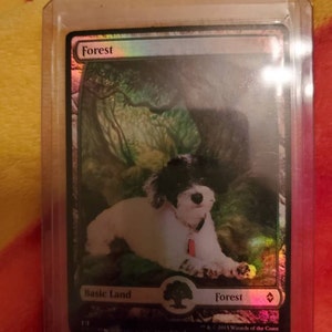 Personalized Pet Magic the Gathering Foil Land - Etsy