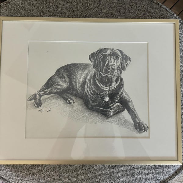 Labrador Retriever Art Print, Black Lab Chocolate Lab Drawing, Sleeping ...