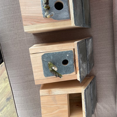 Bird House Nest Box With Welsh Slate Roof Blue Tit Box - Etsy UK
