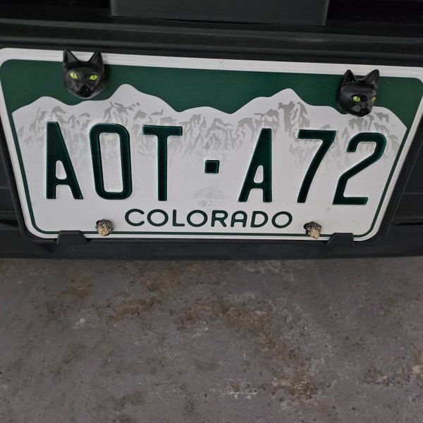 Lady Bug License Plate Screws - Etsy