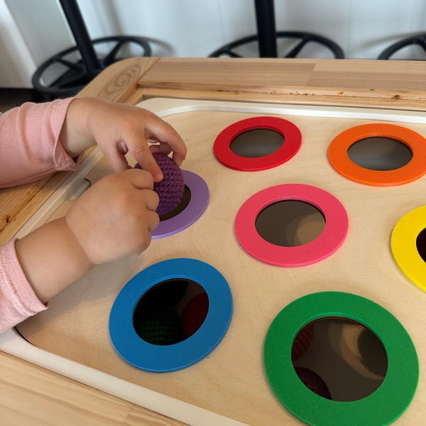 Color Sorting TROFAST Insert Educational Activities for Kids Sensory ...