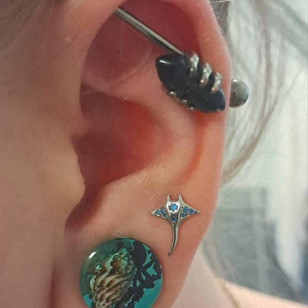 Seashell Ocean Resin Gauges, Blue Surf Gauges, Summer Beach Ear Plugs ...